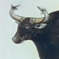 The History of the Kouprey